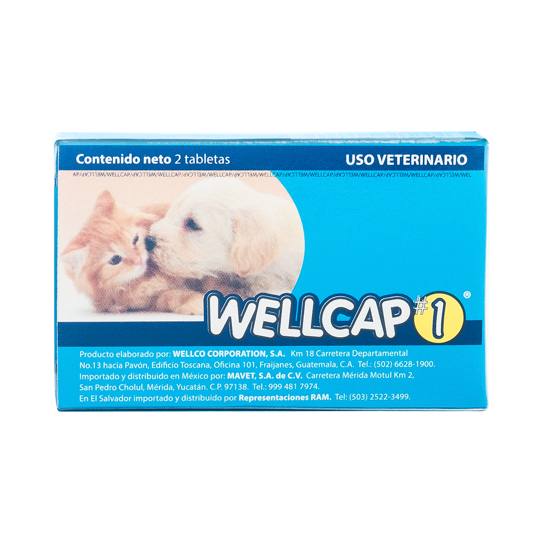 Wellcap #1 – Wellco